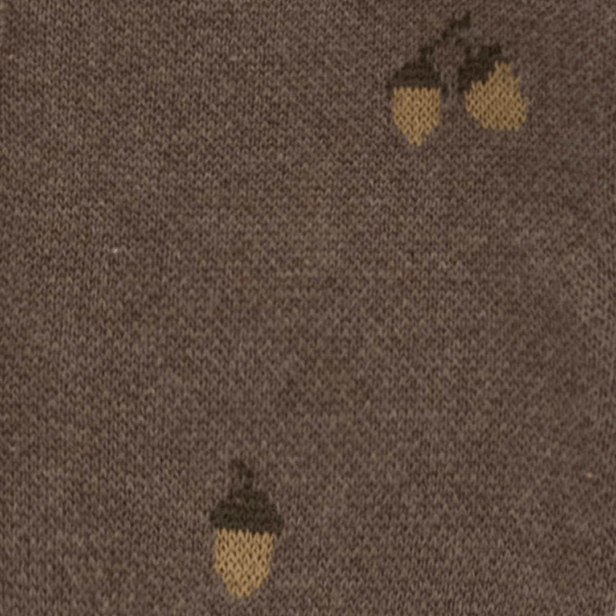 Forest Acorns