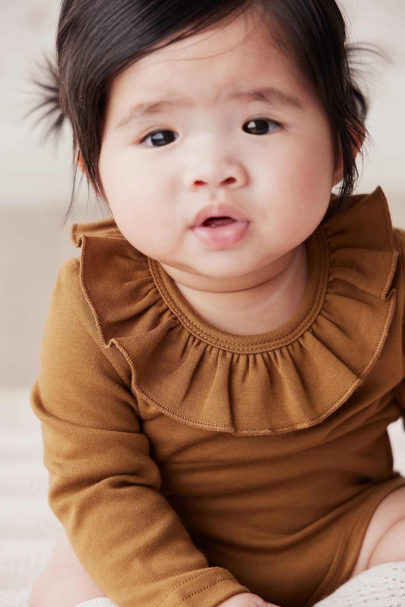 Winter Iris Collection